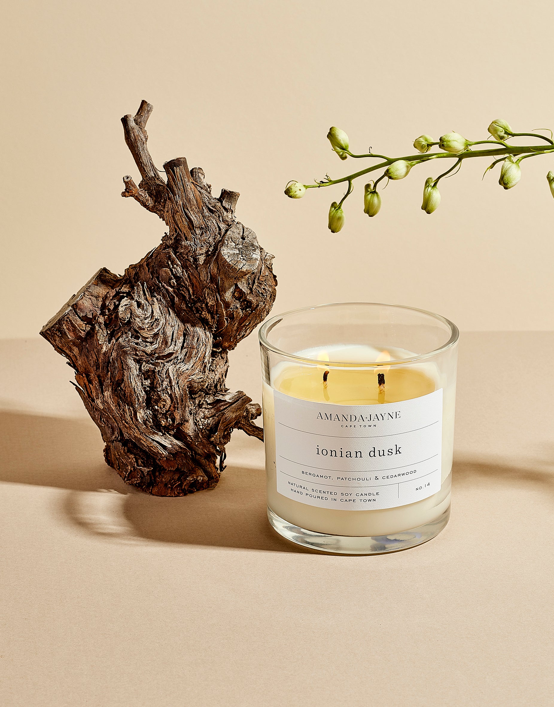 Double Wick Glass Candles – AMANDA-JAYNE CANDLES SA